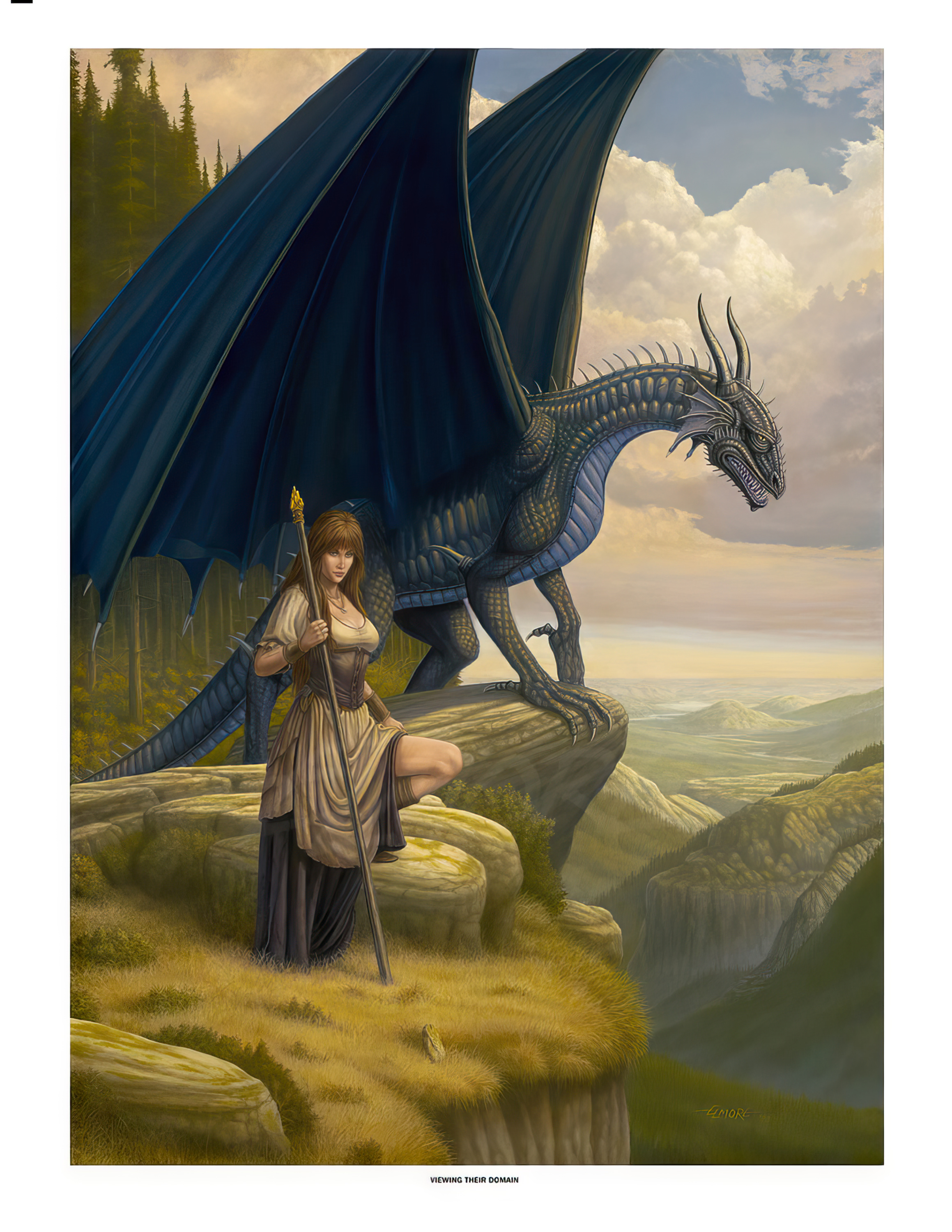 Larry Elmore · Viewing their Domain